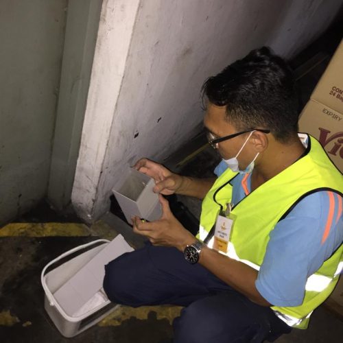 Pest Control Service in KL | Pest Control Kuala Lumpur, Malaysia